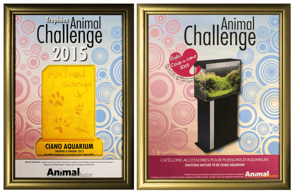 Animal Challenge 2015 - Ciano