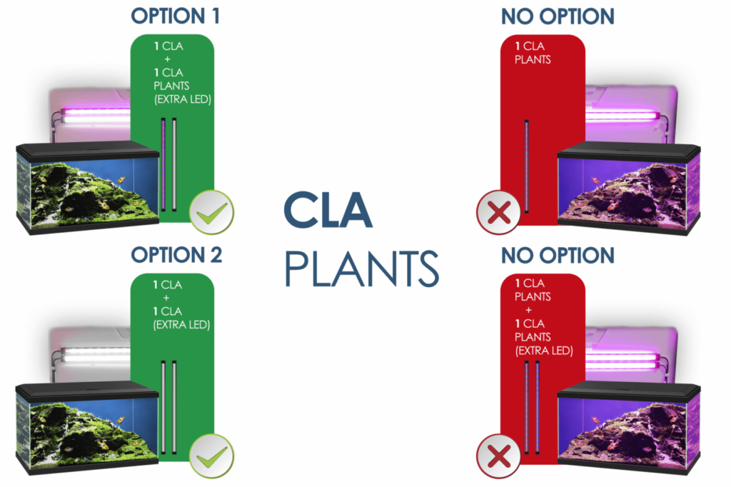 LED Lighting system CLA60 Plants - Ciano