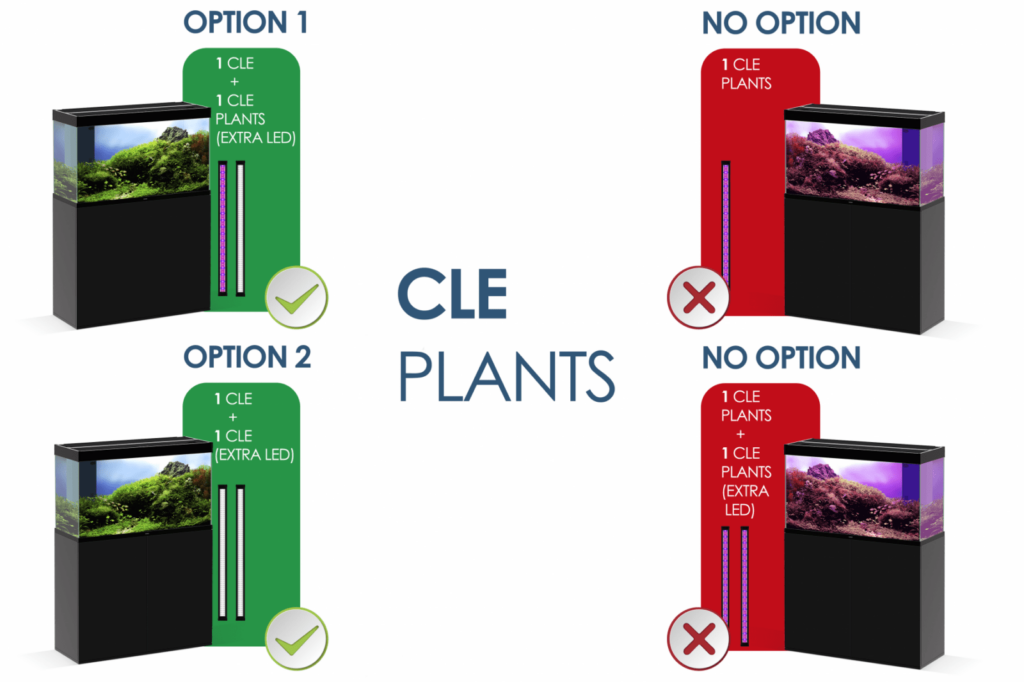 LED lighting system CLE Plants - Ciano