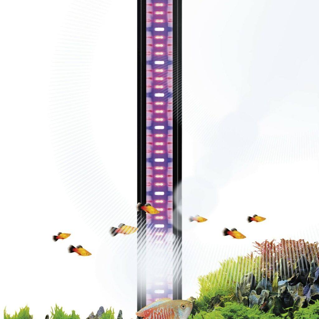 LED Lighting system CLA60 Plants - Ciano