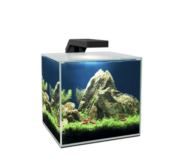 Products - Ciano