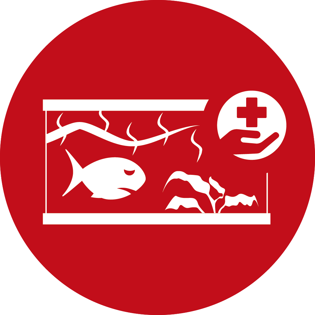 Ciano Care - Prenez soin de vos poissons, plantes et eau d'aquarium