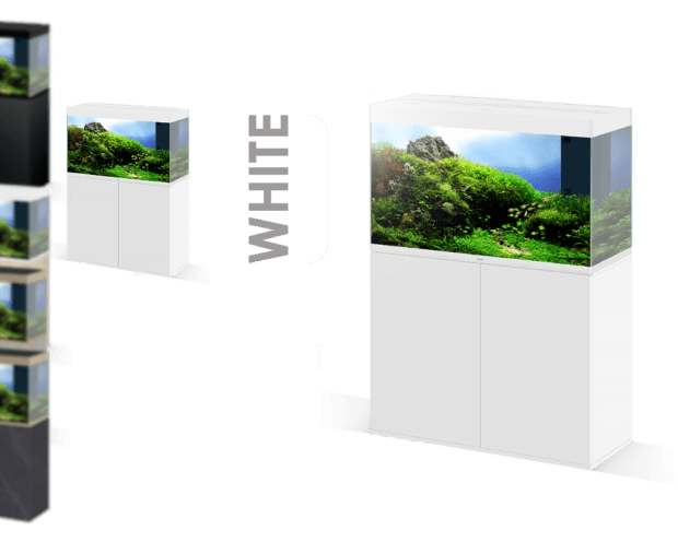 Emotions PRO 100 - Ciano