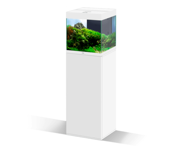 Emotions PRO 40 - Ciano